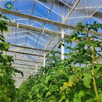 China Sainpoly Tomato Greenhouse Agricultural Greenhouses For Vegetable Production for sale