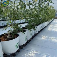 China Waterproof Indoor Tomato Greenhouse Business For Sale  With Hydroponic System Assembly Required Greenhouse for sale