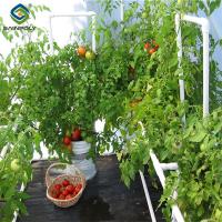 China Turnkey Project Multi Span Commercial Hydroponic Greenhouse Waterproofing for sale