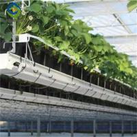 China Galvanized Steel Hydroponics Strawberry Greenhouse Large Size for sale
