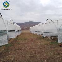 China Multi Span Large Tunnel Greenhouse Strawberry Growing Automatic Greenhouse for sale