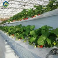 China OEM Steel Frame Fruit And Vegetable Greenhouse For Strawberries for sale