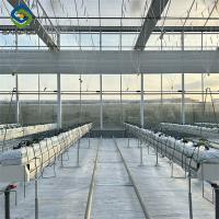 China Large Scale Greenhouse Agricultural Green House Stable Structure Easily Assembled for sale