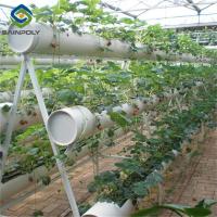 China Commercial Automated Strawberry Greenhouse Multi Span Film Greenhouse for sale