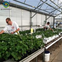 China Ultraviolet Proof Double Film Strawberry Green House Large Size for sale
