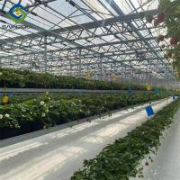 China Agricultural Intelligent Strawberry Green House PC Board Greenhouse Eco Friendly for sale