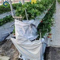 China SAINPOLY Hydroponic Strawberry Greenhouse With Planting Systems Easily Assembled for sale