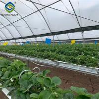 China Heavy Duty Commercial Greenhouse Luxury Film Venlo Type For Stawberry for sale