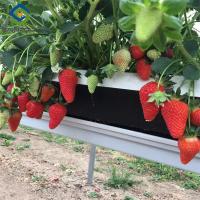 China Single Span Commercial Greenhouse Kits Plastic Film Tunnel Greenhouse Stable Structure for sale