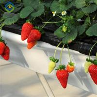 China Single Span Commercial Greenhouse Kits Plastic Film Tunnel Greenhouse Stable Structure for sale