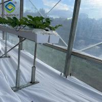 China Efficient Strawberry Plant Greenhouse Easy To Install High Performance for sale