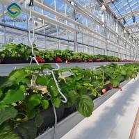 China SAINPOLY Easily Assembled Fruit Growing Greenhouse Strawberry Production for sale