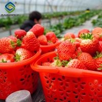 China Single Span Commercial Greenhouse Kits Plastic Film Tunnel Greenhouse Stable Structure for sale