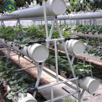 China SAINPOLY Easily Assembled Fruit Growing Greenhouse Strawberry Production for sale