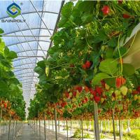 China SAINPOLY Easily Assembled Fruit Growing Greenhouse Strawberry Production for sale