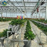 China SAINPOLY Hydroponic Strawberry Greenhouse With Planting Systems Easily Assembled for sale