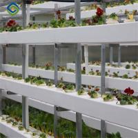 China UV Resistant Mutli Span Flower Greenhouse Venlo Arch Type Waterproof for sale