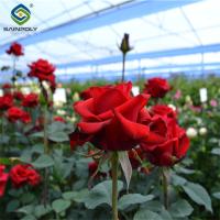 China Structural Frame Polycarbonate Glass Greenhouse For Flower Growth for sale