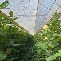 China Uv Protection Transparent Flower Garden Greenhouse Easy To Assemble for sale
