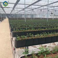 China Rectangular Large Commercial Greenhouse Multispan Agricultural Greenhouse for sale