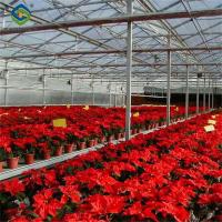 China Stronger Structure Flower Greenhouse Waterproofing Weather Resistant for sale