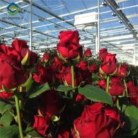 China Sainpoly Commercial  Agricultural Flower Green Houses For Planting for sale