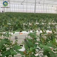 China Stronger Structure Flower Greenhouse Waterproofing Weather Resistant for sale
