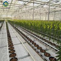 China Transparent Large Commercial Greenhouse Agricultural Green House For Flowers for sale