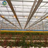 China Flower Growing Steel Frame Greenhouse Wind Resistance Large Glass Greenhouse for sale