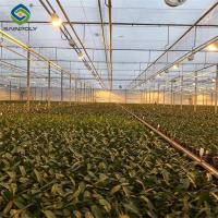 China Low Maintenance Commercial Glass Greenhouse With Adjustable Roof Vents for sale