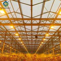 China Uv Protection Transparent Flower Garden Greenhouse Easy To Assemble for sale