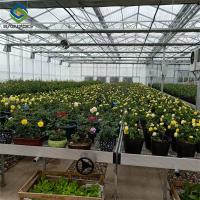 China UV Resistant Mutli Span Flower Greenhouse Venlo Arch Type Waterproof for sale