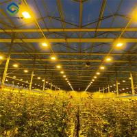 China Stronger Structure Flower Greenhouse Waterproofing Weather Resistant for sale