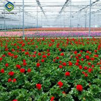 China Toughened Clear Glass Flower Greenhouse Customized With Automatic Systems for sale
