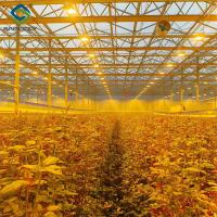 China Low Maintenance Commercial Glass Greenhouse With Adjustable Roof Vents for sale
