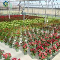 China Toughened Clear Glass Flower Greenhouse Customized With Automatic Systems for sale