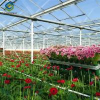 China Low Maintenance Commercial Glass Greenhouse With Adjustable Roof Vents for sale