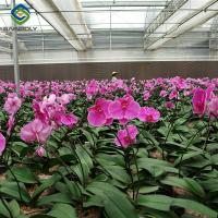 China Indoor Outdoor Use Floral Greenhouse Commercial Green Houses Weather Proof for sale