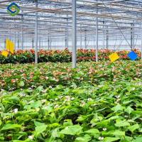 China Commercial 4 Season Greenhouse Flower Planting Greenhouse  UV Resistant for sale