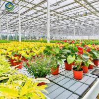 China Rectangular Large Commercial Greenhouse Multispan Agricultural Greenhouse for sale