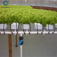 China Multispan Lettuce Work Greenhouse With NFT Hydroponic Growing Systems for sale