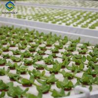 China ISO Certification Commercial Hydroponic Greenhouse For Agriculture Anti Corrosion for sale