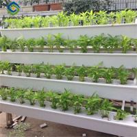 China ISO Certification Commercial Hydroponic Greenhouse For Agriculture Anti Corrosion for sale