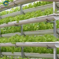 China Sainpoly Commercial Hydroponic Greenhouse For Plant Growing Lettuce for sale