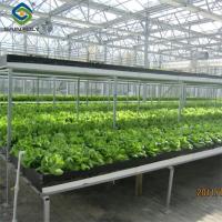China Easy Installation Customized Agricultural Greenhouses With LED Lighting for sale