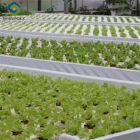 China ISO Certification Commercial Hydroponic Greenhouse For Agriculture Anti Corrosion for sale