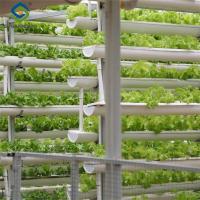 China Large Size Vertical Hydroponic Greenhouse Stable Structure Easily Assembled for sale