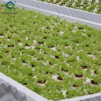 China Commercial Lettuce Greenhouse Low Maintenance Weather Resistant for sale