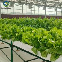 China Commercial Lettuce Greenhouse Low Maintenance Weather Resistant for sale