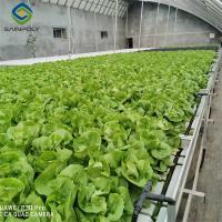 China Easy Installation Customized Agricultural Greenhouses With LED Lighting for sale